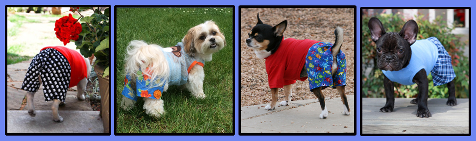 Belly Boxer Shorts and Boxer Shorts for Dogs